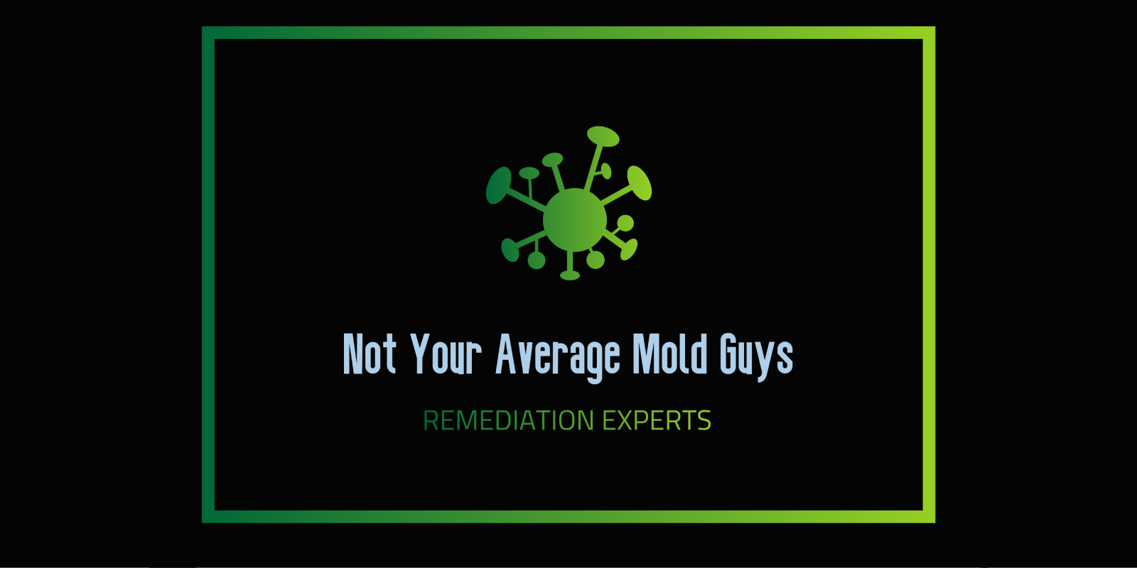 Not Your Average Mold Guys – Expert Mold Remediation and Water Damage ...